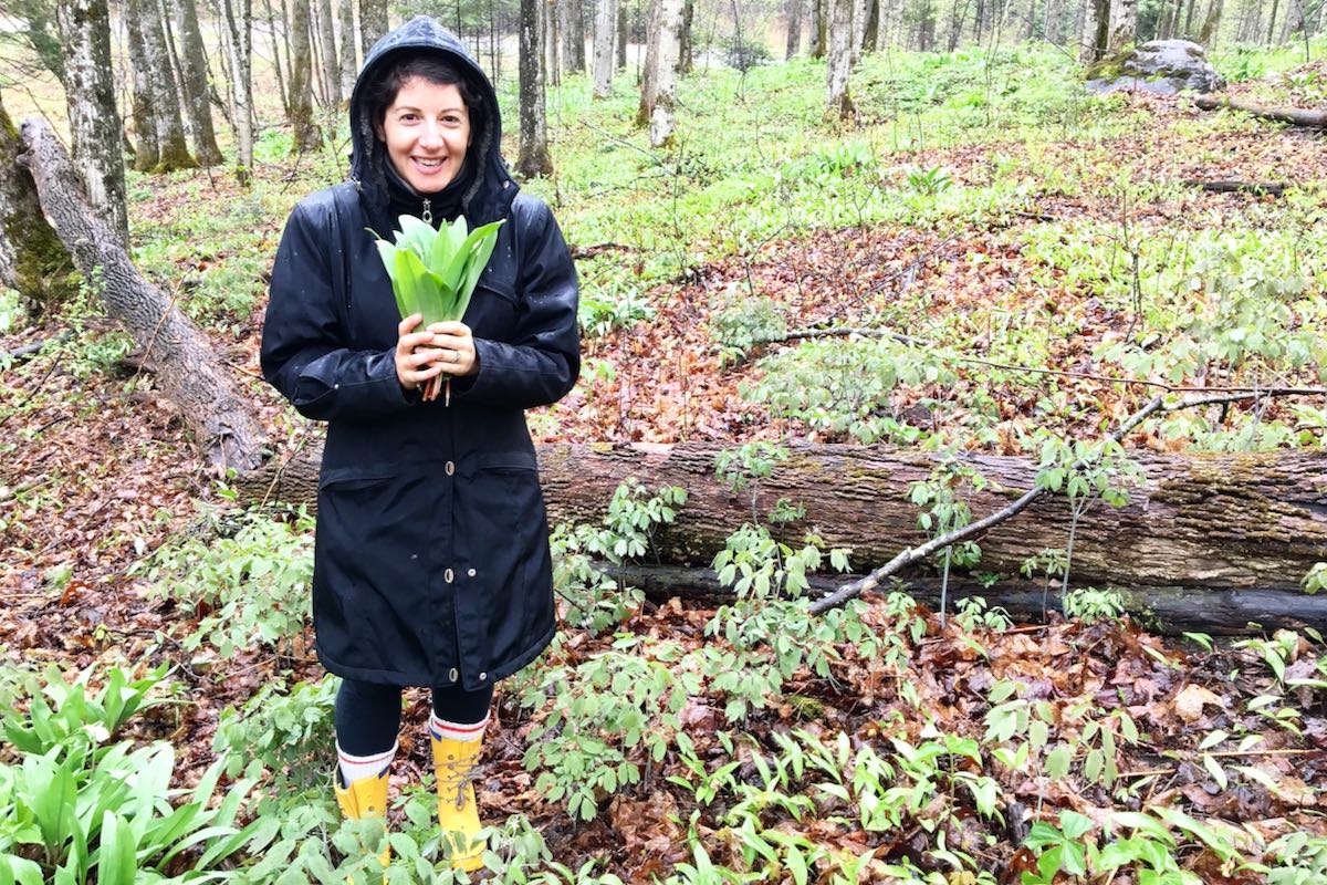 Wild Edibles: Guide to Harvesting and Enjoying the Best Wild Foods ...